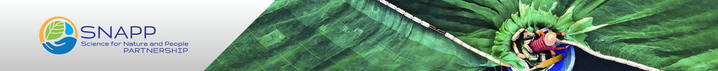 Welcome | SNAPP